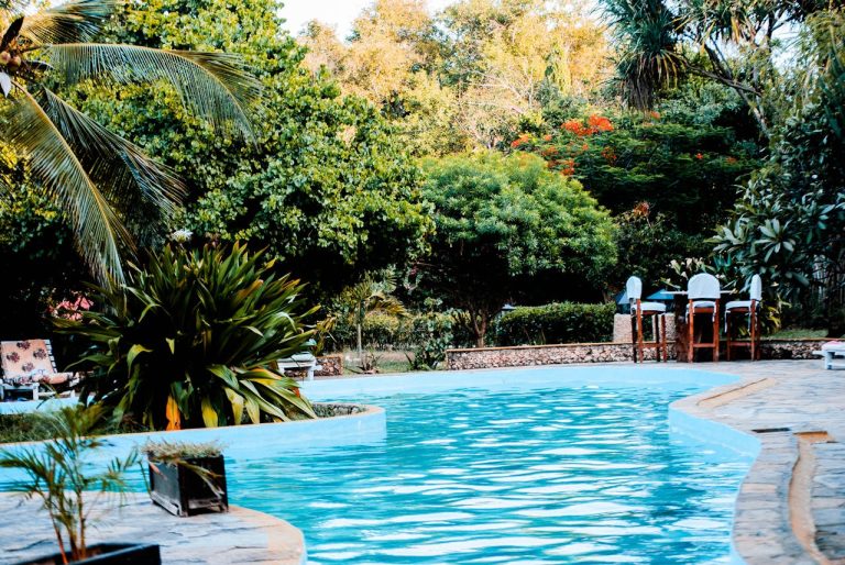 Les différents types de piscines : guide pour bien choisir votre bassin ...
